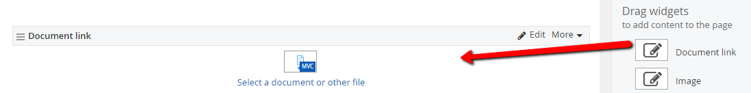 Document link widget